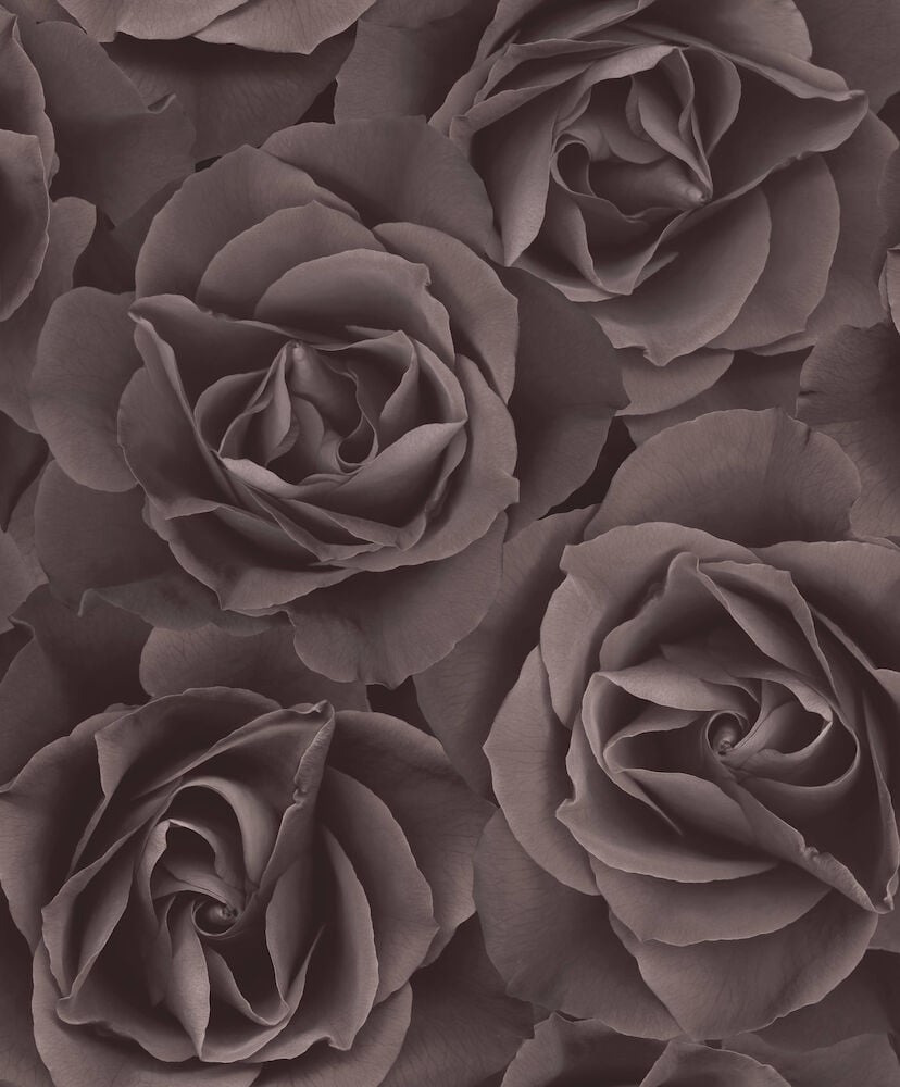 Tapet Boutique | Rusta.com