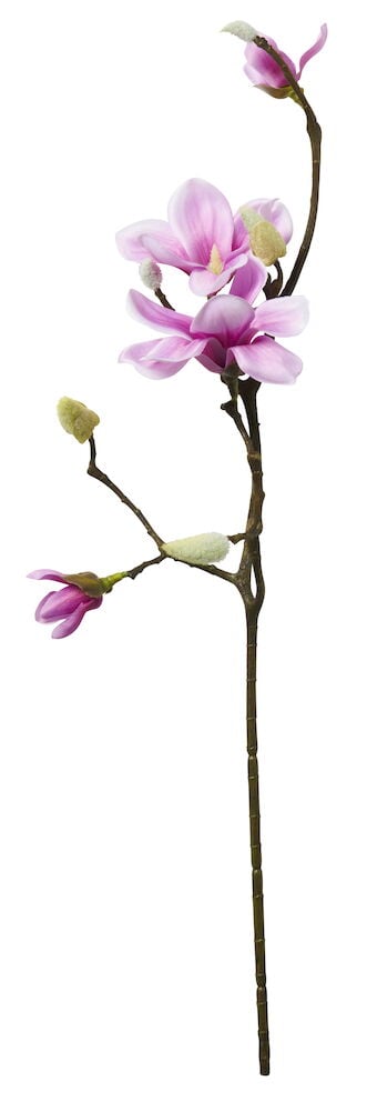 Magnolia | Rusta.com