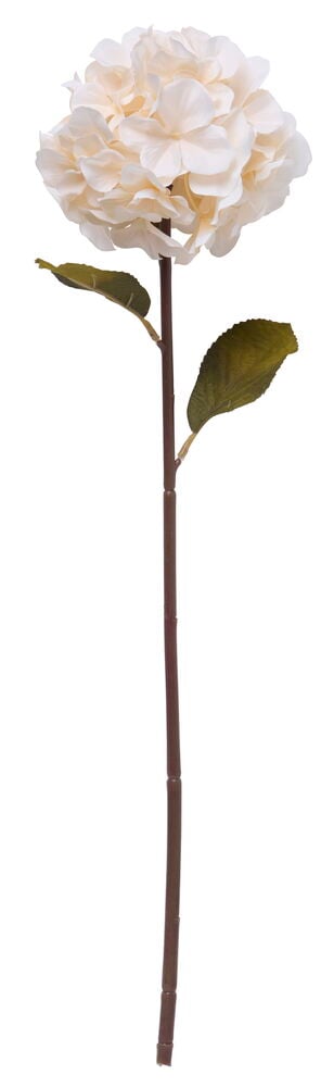 Hortensia | Rusta.com